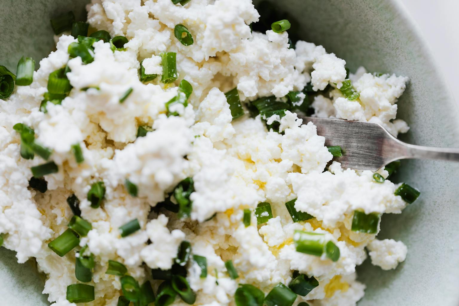 Our Favorite Keto Cottage Cheese Recipes - The Carnivore Marine